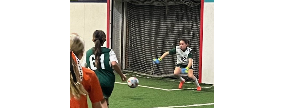 Home [www.aurora-united.org]